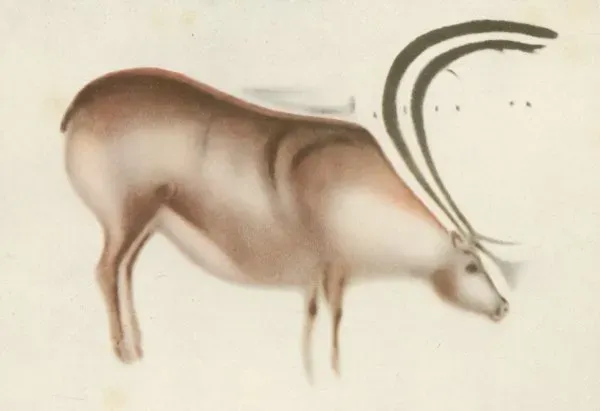 Altamira Cave Art Deer