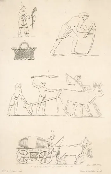 Farming In Ancient Egypt Ancient Egypt Farming Ancient