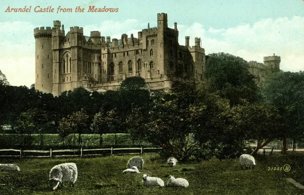 Arundel Castle viewed from the Meadows Our beautiful Wall Art and Photo ...