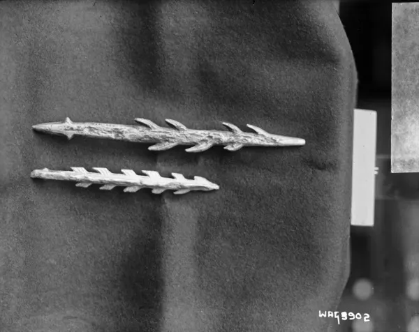 A bone harpoon heads on cloth Our beautiful Wall Art and Photo Gifts ...