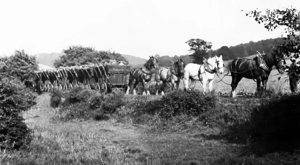 Little Eaton and Denby coal tramway known as the Little