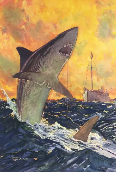 Mako Shark Jaws Poster