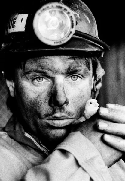 Photography By Philip Dunn Art Prints, Posters & Puzzles