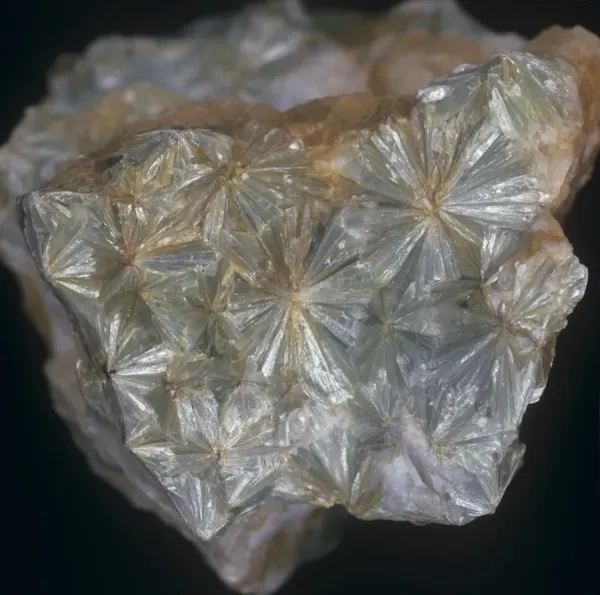 Pyrophyllite Green