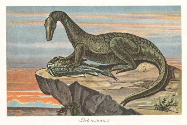 Reconstruction of Protorosaurus speneri and Menaspis armata