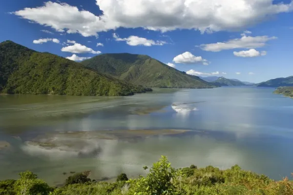 Pelorus Sound view into Pelorus Sound with its many bays