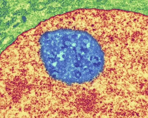 Nucleus Microscope