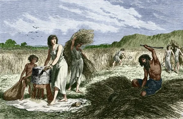 Early Humans Farming Crops