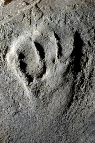 Fossilised pterosaur footprint Our beautiful Wall Art and Photo Gifts ...