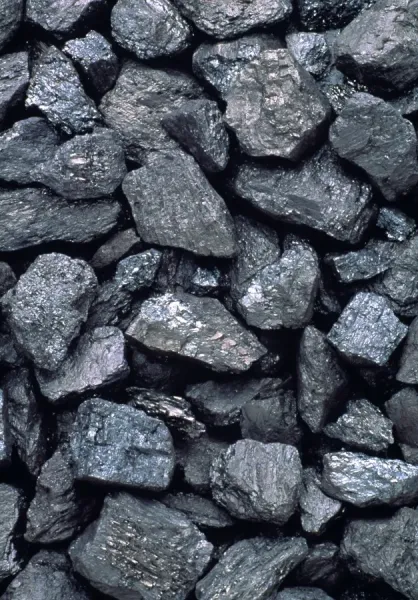 Coal Sedimentary Rock