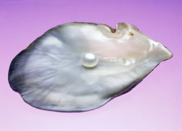 Natural Pearls In Shell