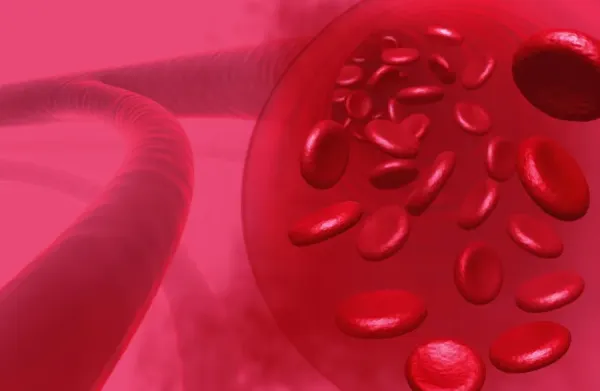 Red blood cells, artwork F007 / 0036 Our beautiful Wall Art and Photo ...