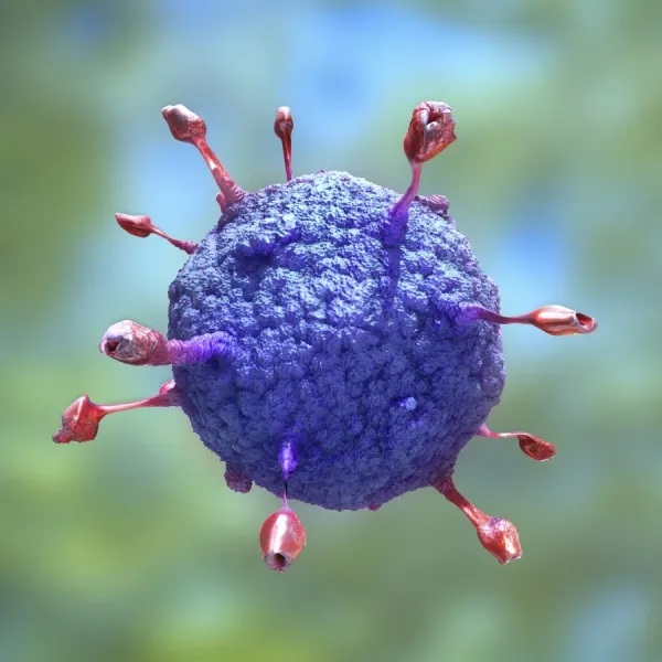 Virus, artwork C016 / 9004 Our beautiful Wall Art and Photo Gifts ...