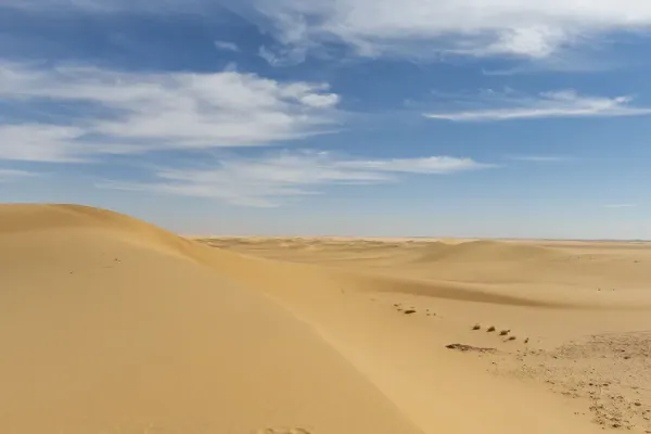 Tenere Desert Motorrad Yamaha Tenere 700 Rally Edition, , Baujahr: