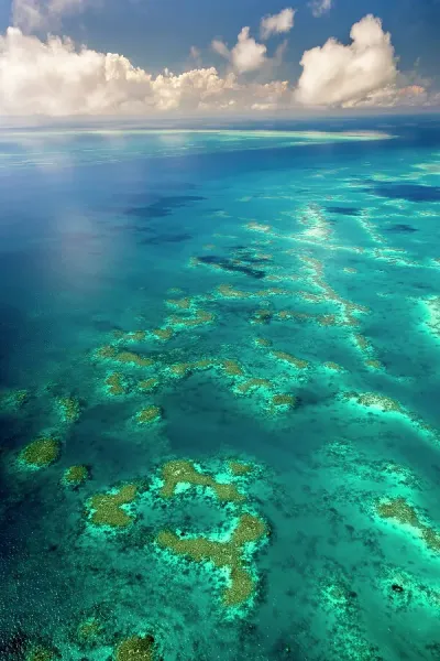 Batt Reef Report On Surveys Of The Cairns Sector Of The Great Barrier