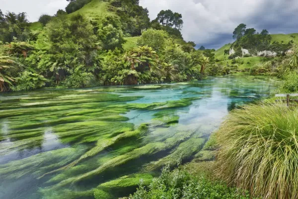 Spring At The River