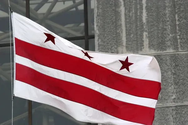 Washington Dc State Flag