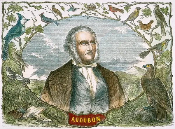 JOHN JAMES AUDUBON (1785-1851) Our beautiful Wall Art and Photo Gifts ...
