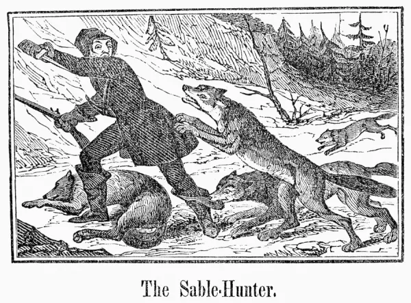 SABLE HUNTER, 1841 Our beautiful Wall Art and Photo Gifts include ...