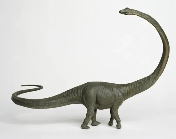 Bagaceratops Barosaurus Dinosaur