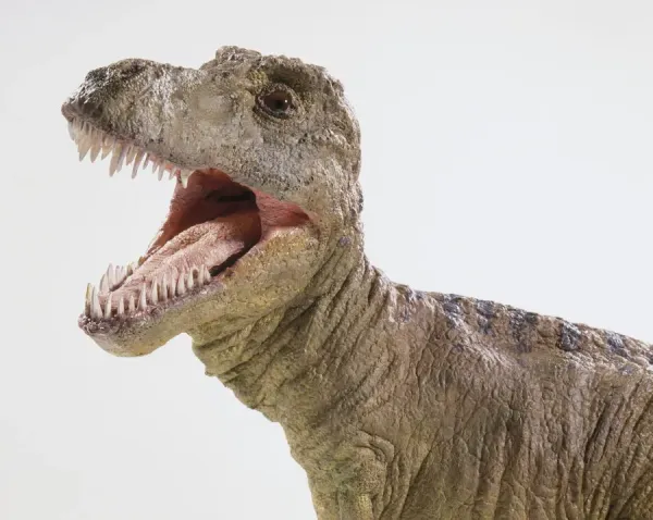T Rex Head