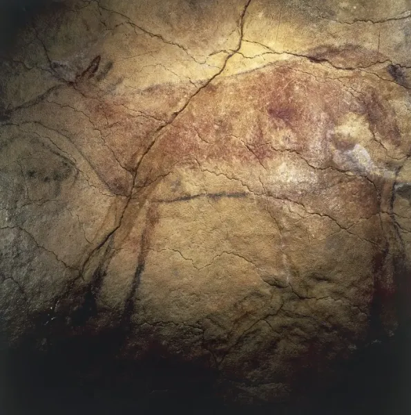 Paleolithic Cave Art Archaeologists Reveal Largest Paleolithic Cave