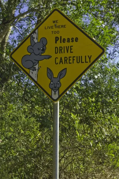 Framed Print of Warning sign about koalas and kangaroos