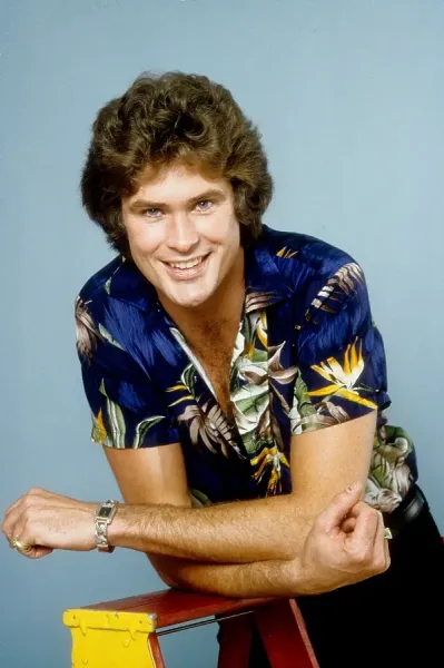 David Hasselhoff Wallpaper #PSA: David Hasselhoff's 'fan