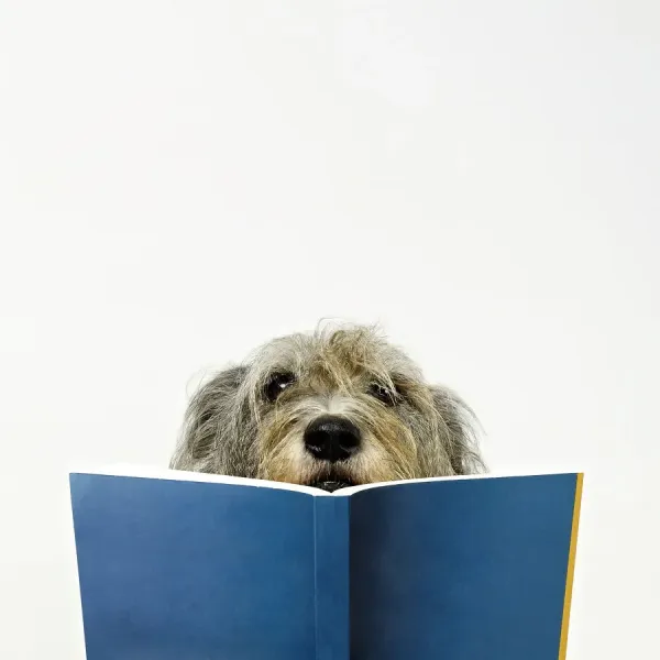 Dog Reading Book