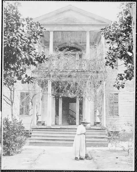 Southern Plantation Owner Drawing The Plantation Comes To Bexar County