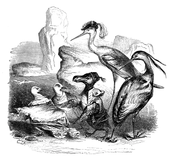 Humanized animals illustrations: Penguins and birds