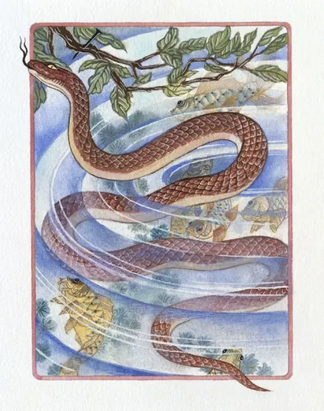 Illustration of Snake in the Fish Pond Our beautiful Wall Art and Photo ...