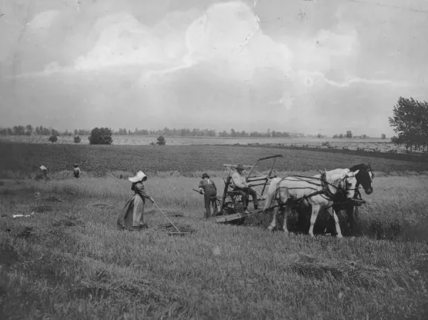 Cyrus Mccormick And The Mechanical Reaper In 1834, Cyrus McCormick