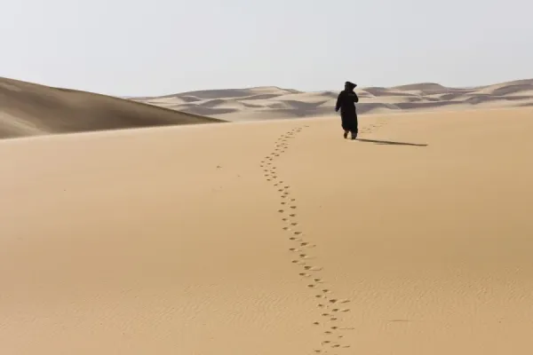 Africa Libyan Desert