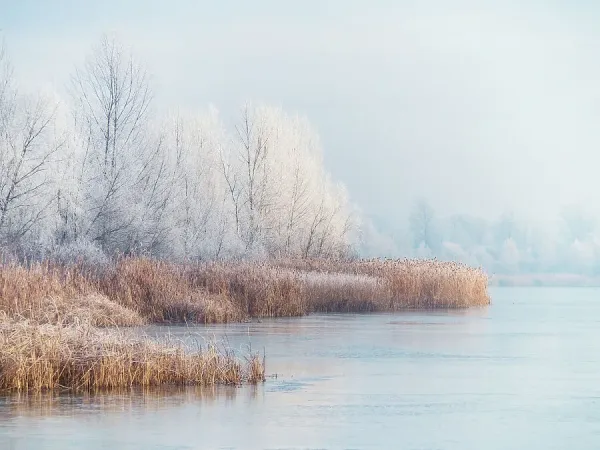 Frozen Pond Backgrounds Frozen Pond Photos, Download The BEST Free