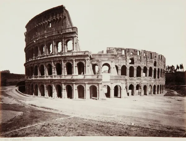 Flavian Amphitheater Roman Colosseum Drawing By
