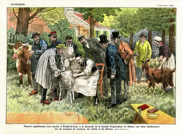 Louis Pasteur Experiment 64. Louis Pasteur And The History Of The