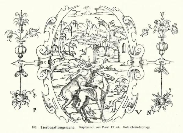 Animals Mating Drawing