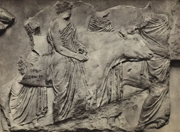 Parthenon South Frieze
