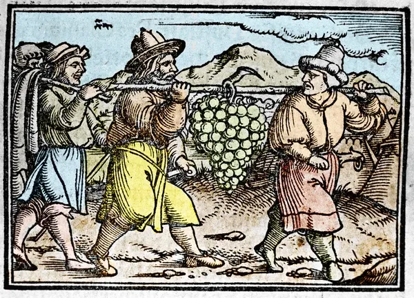 Land Of Canaan Joshua And Caleb TC&IC: The Division Of Canaan