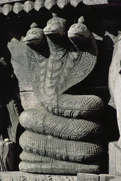 Three Headed Snake Real