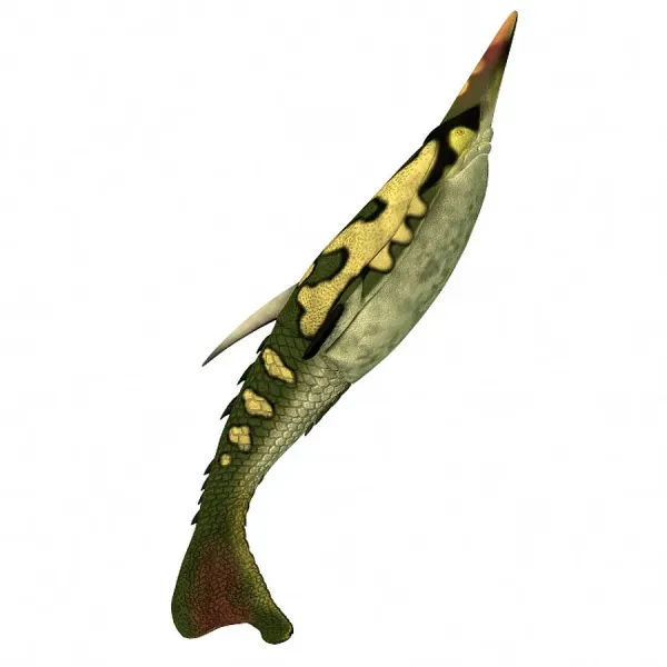 Pteraspis Fish
