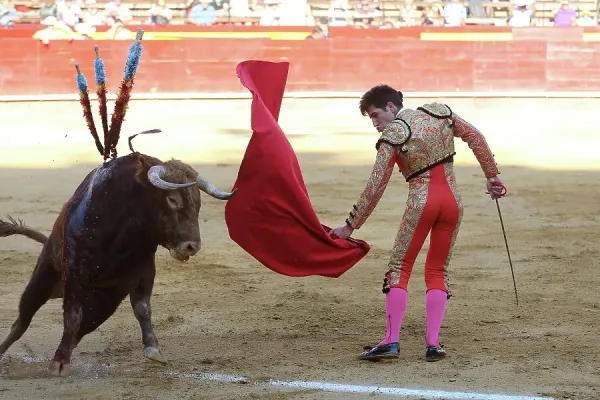 Matador And Bull