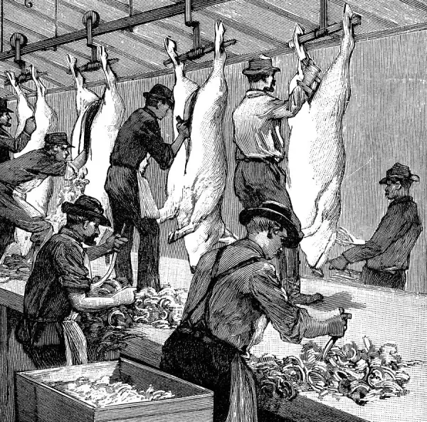 Armour Companys pig slaughterhouse Our beautiful Wall Art and Photo ...
