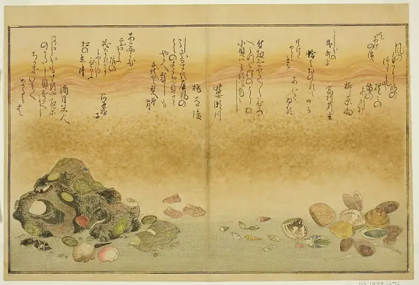 Ashi-gai, hamaguri, ko-gai, suzume-gai Our beautiful Wall Art and Photo ...