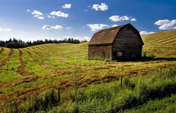 Old Barn In A Field Our beautiful Wall Art and Photo Gifts include ...