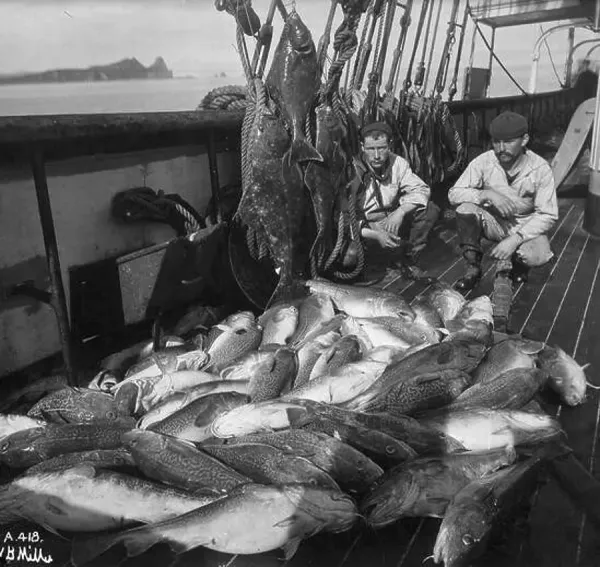 Fishing boat, cod and halibut, before 1927 Our beautiful Wall Art and ...