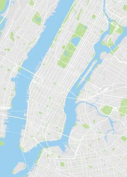 New York colored vector map detailed plan of the city