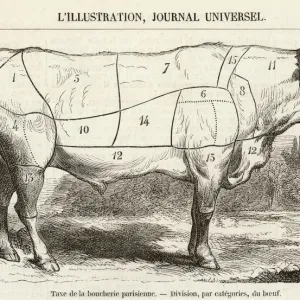 Ox Cuts Diagram Our beautiful Wall Art and Photo Gifts include Framed ...