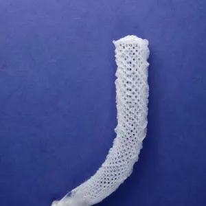 Glass Sponges (Sponges, Animals) Collection Our beautiful pictures are ...